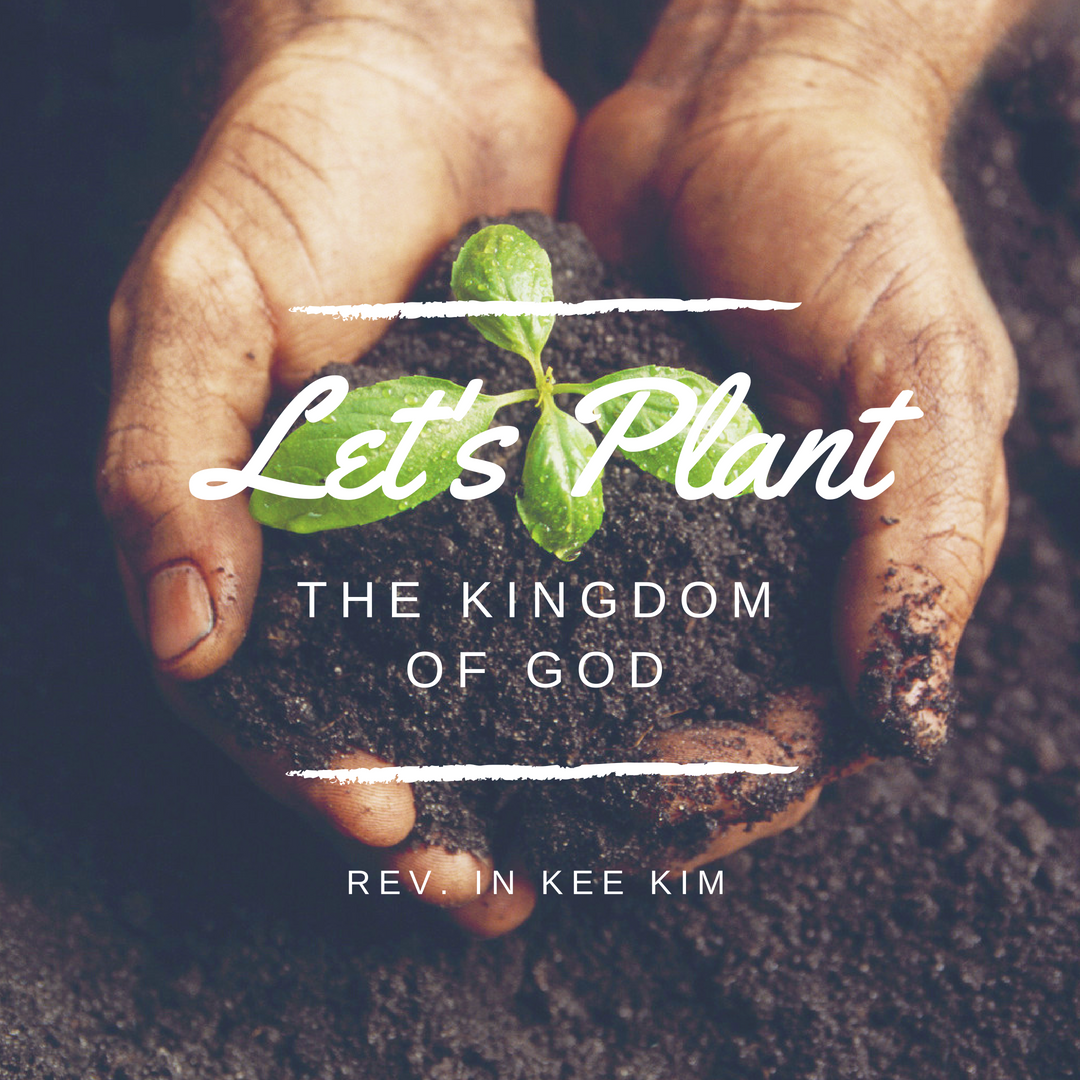 Let s Plant The Kingdom Of God St Timothy Presbyterian Church Let s Plant The Kingdom Of God St Timothy Presbyterian Church
