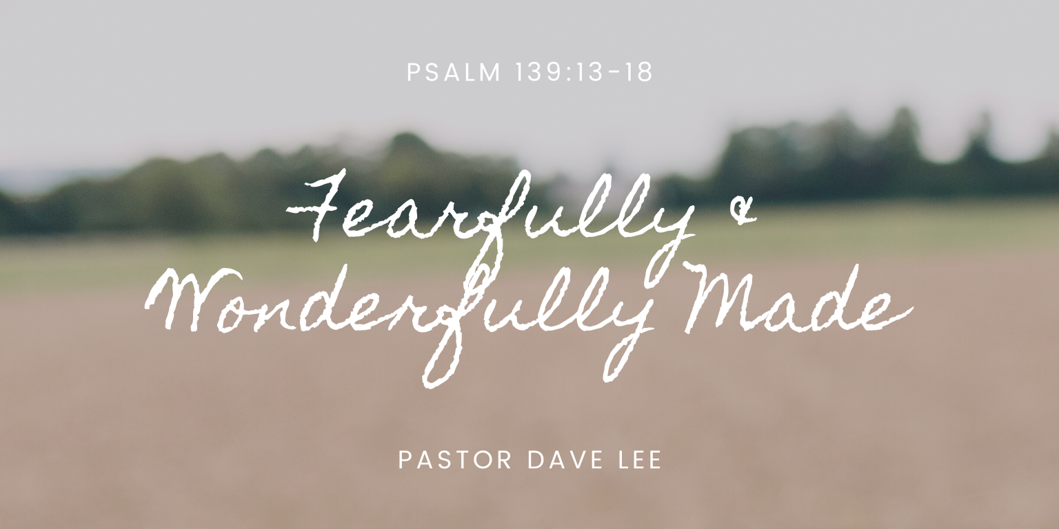 Fearfully and Wonderfully Made - St Timothy Presbyterian Church
