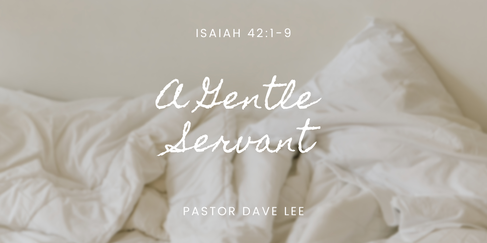 A Gentle Servant - St Timothy Presbyterian Church